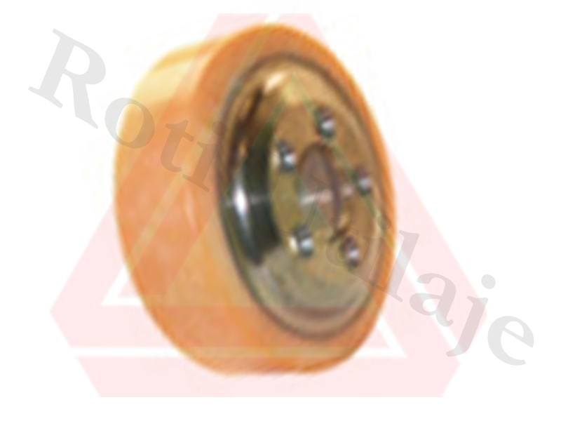 Roti Motrice Electrostivuitoare